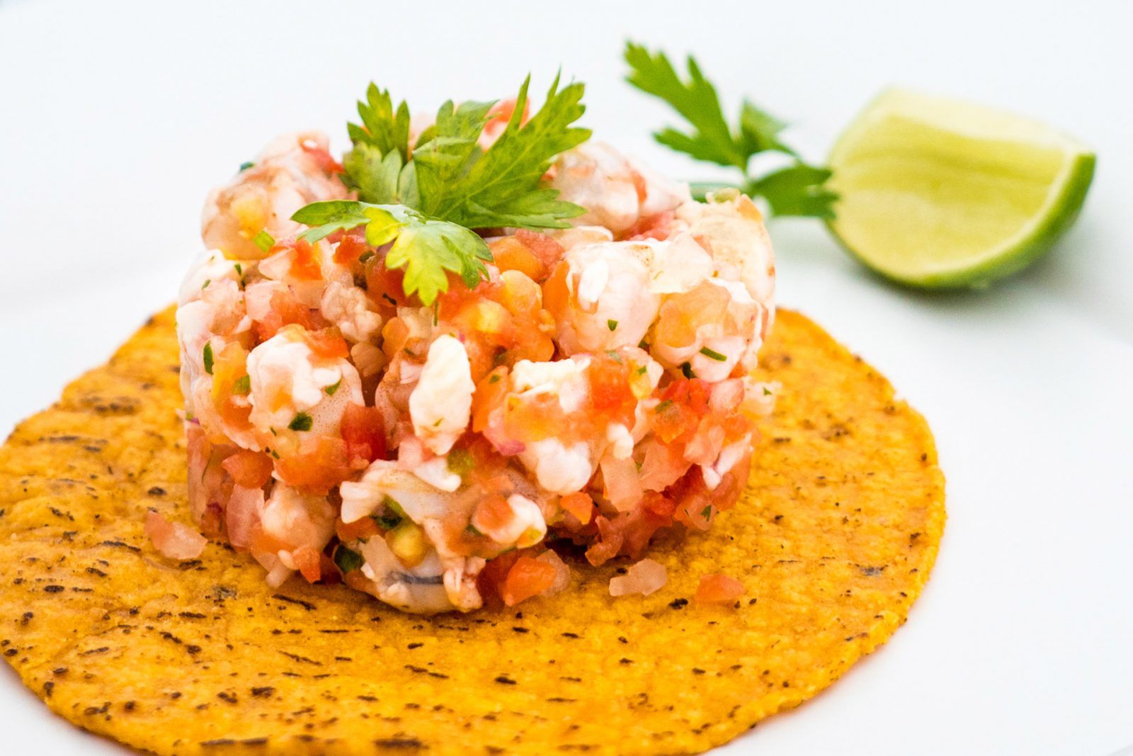 Fresh Catch: Blue Fish Seafood - InMexico