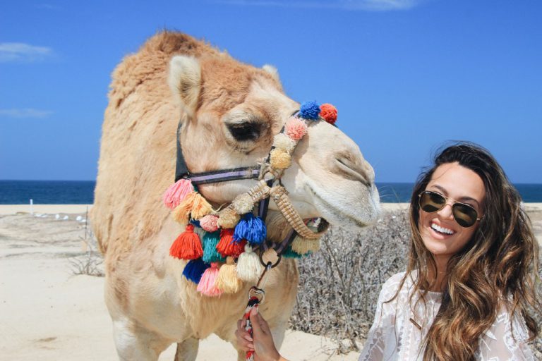 How to Experience a Camel Safari in Cabo - InMexico