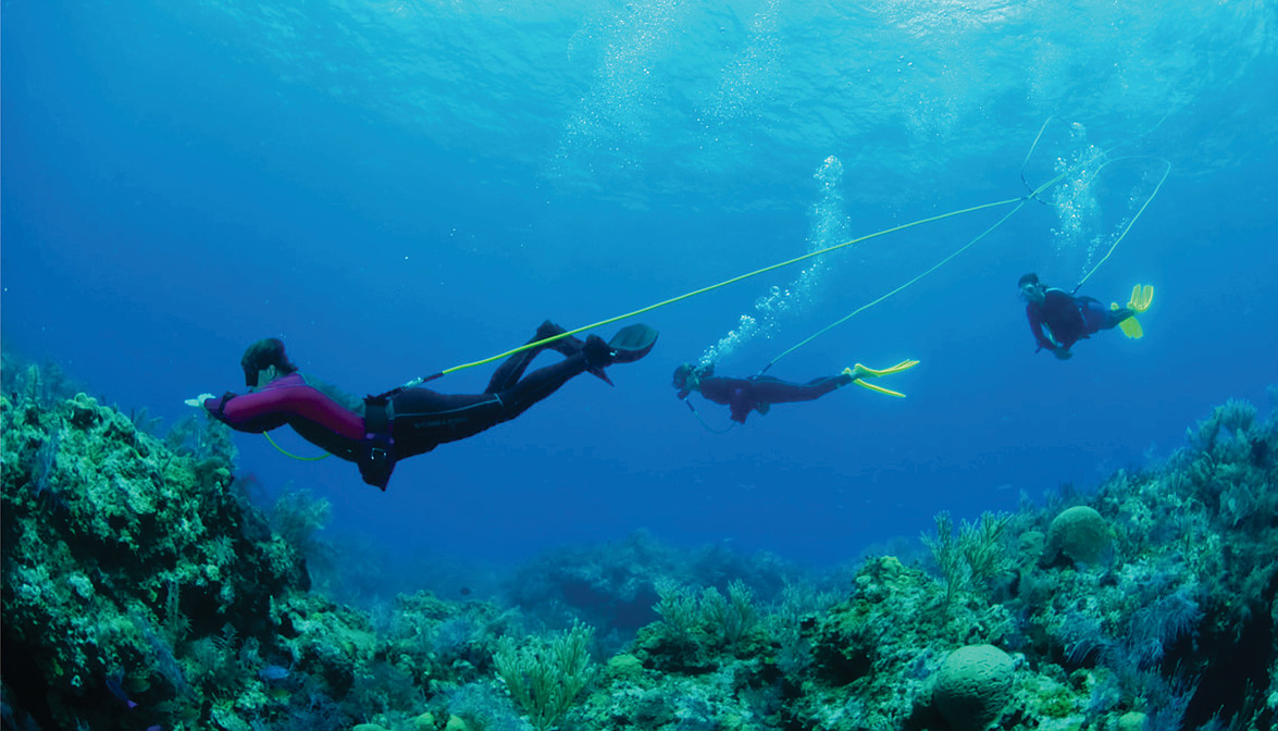 Explore the Reefs With Punta Mita Expeditions Hookah Diving - InMexico