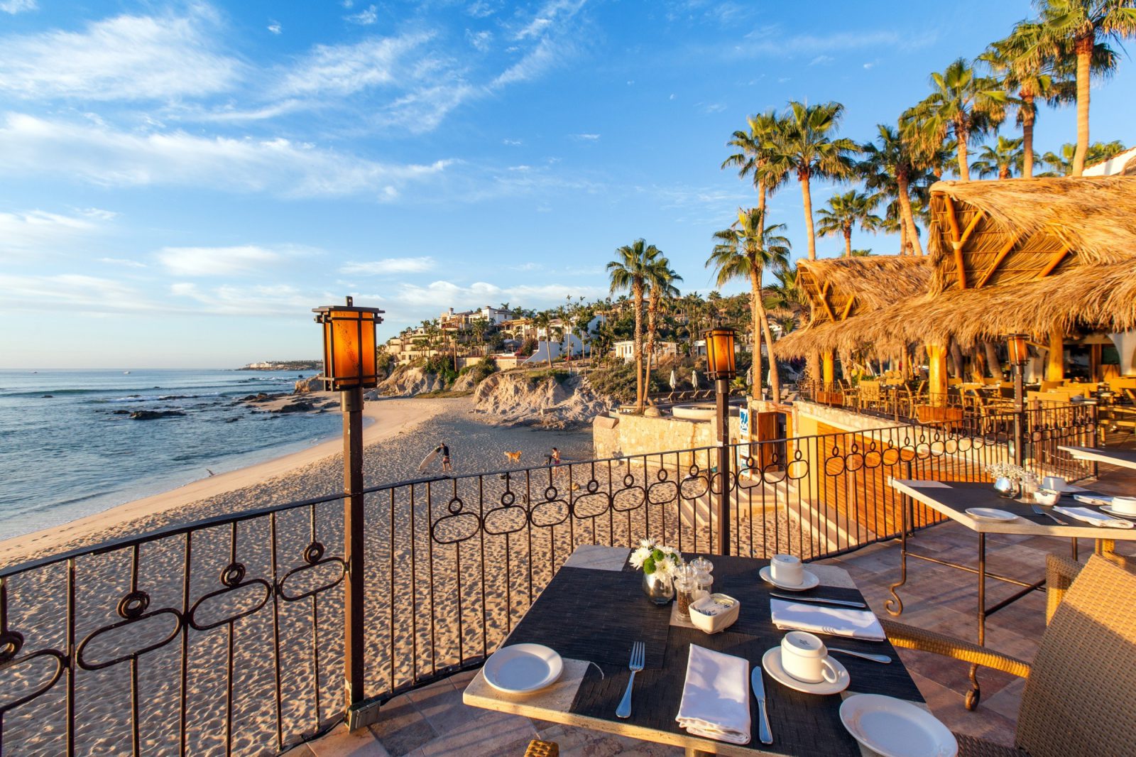 The Best in Cabo: Dining - InMexico