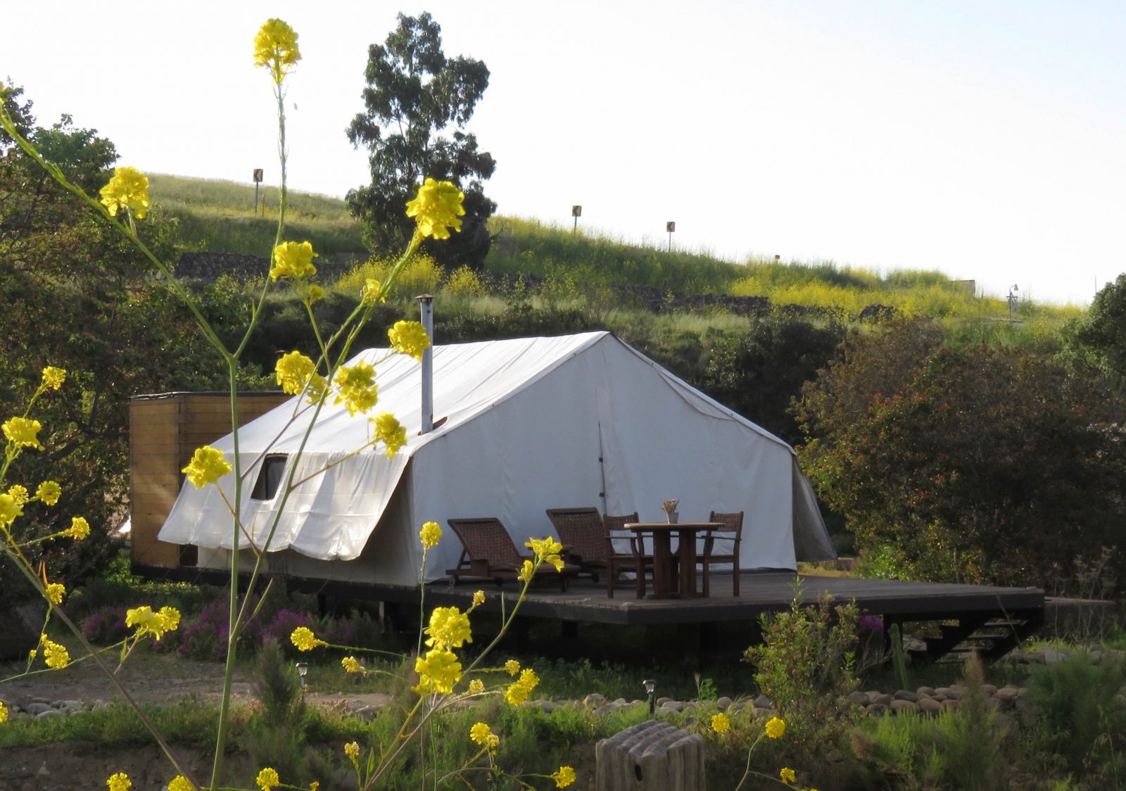 The Unique Adventure of Glamping at Cuatro Cuatros - InMexico