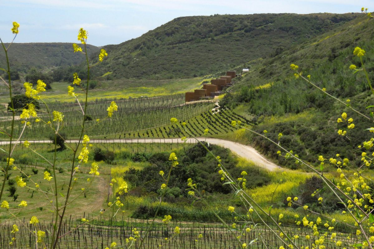 The Unique Adventure of Glamping at Cuatro Cuatros - InMexico