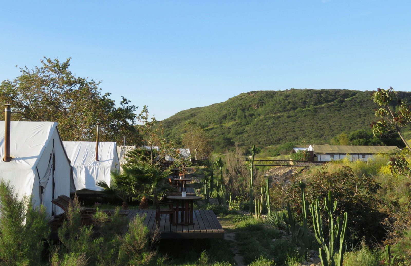 The Unique Adventure of Glamping at Cuatro Cuatros - InMexico