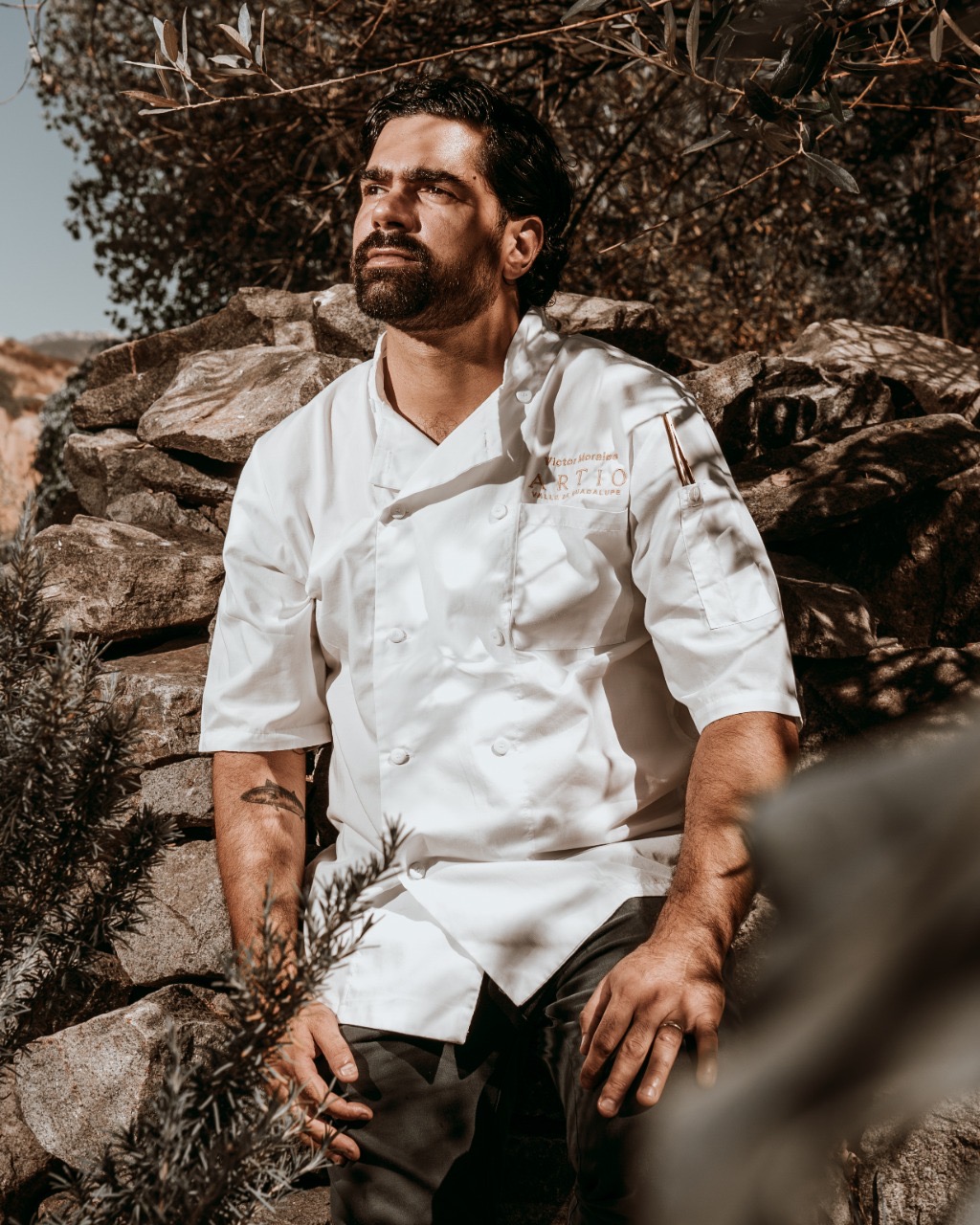 Back to the Origin: Chef Víctor Morales Presents Artio, a Restaurant ...